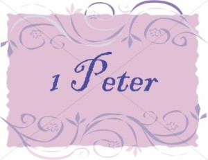 Tim Fortner Bible Study